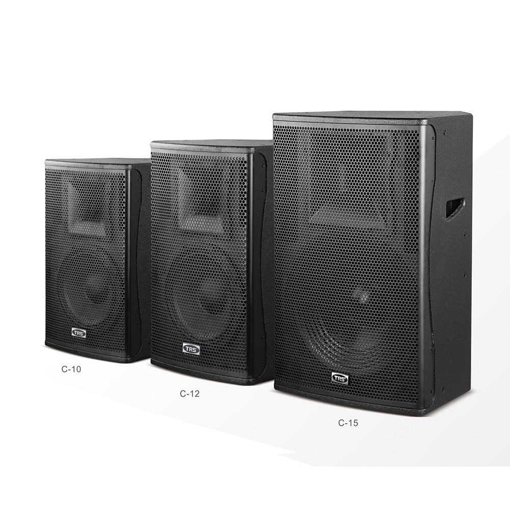 China 12-inch multi-purpose full-range professional speaker Manufacture ...